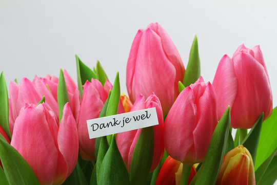 "Dank Je Wel" Images – Browse 43 Stock Photos, Vectors, and Video ...
