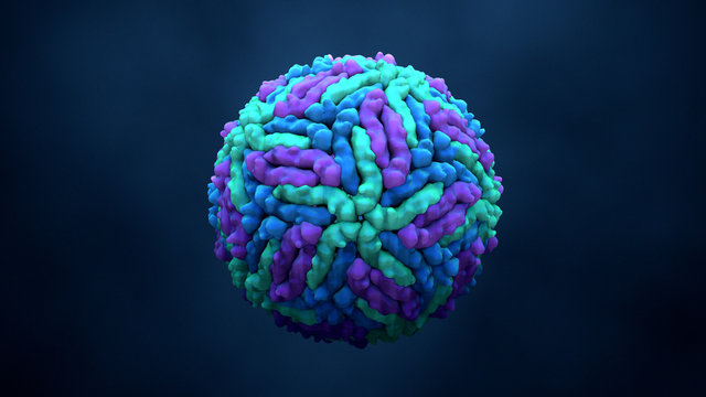รูปภาพRubella – เลือกดูภาพถ่ายสต็อก เวกเตอร์ และวิดีโอ4,560 | Adobe Stock