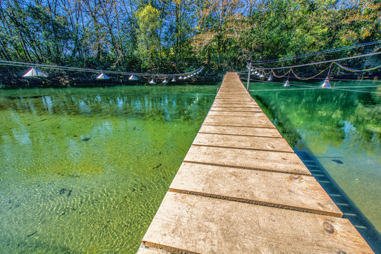 Hyperoartia Images – Browse 45 Stock Photos, Vectors, and Video | Adobe ...