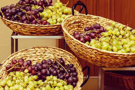 รูปภาพRacemation – เลือกดูภาพถ่ายสต็อก เวกเตอร์ และวิดีโอ2,045 | Adobe ...