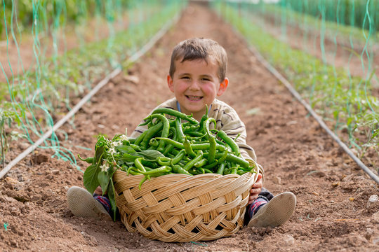 ahmet gul photos, images, assets | Adobe Stock