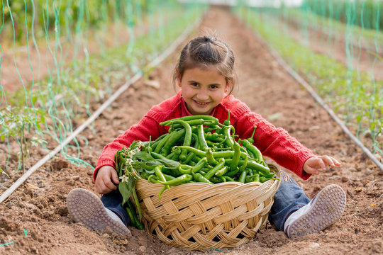 ahmet gul photos, images, assets | Adobe Stock