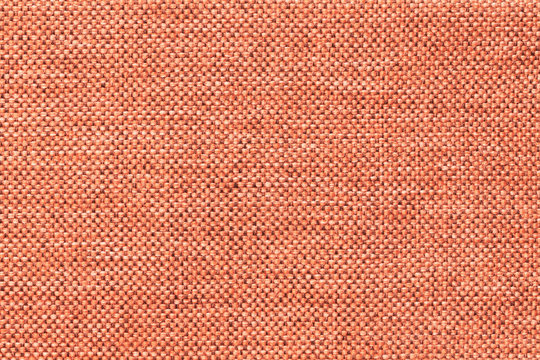 Salmon Color Background Images – Browse 59,831 Stock Photos, Vectors ... Salmon Color Background Images – Browse 59,831 Stock Photos, Vectors ...