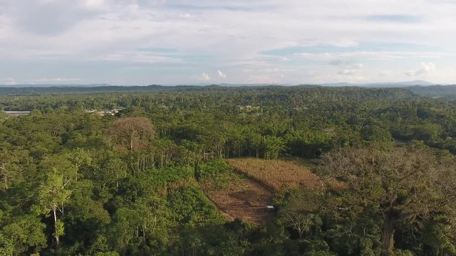 Ceibo Images – Browse 4,302 Stock Photos, Vectors, and Video | Adobe Stock