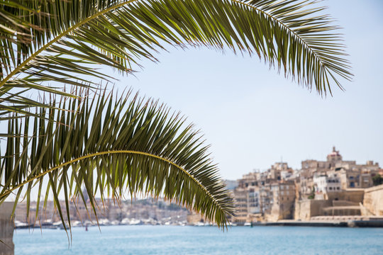 "La Guardiola" Images – Browse 12 Stock Photos, Vectors, and Video ...