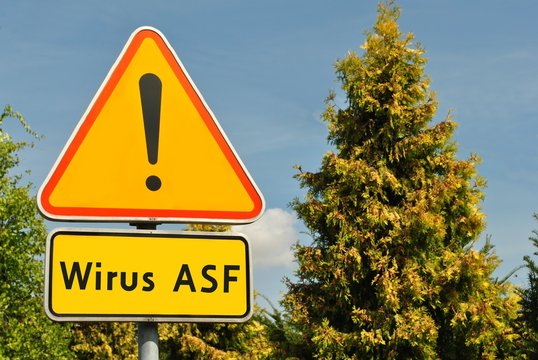 Asf Images – Browse 579 Stock Photos, Vectors, and Video | Adobe Stock