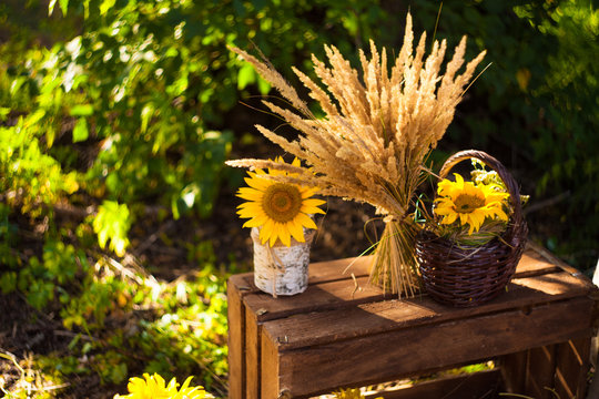 DIE 381,780 BESTEN BILDER, STOCK-FOTOS UND -VEKTORGRAFIKEN ZU „August ...