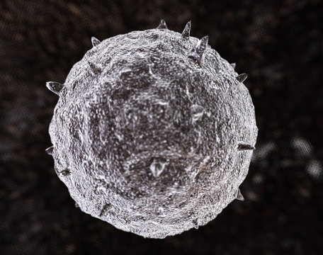 Virus Elektronenmikroskop Farbe