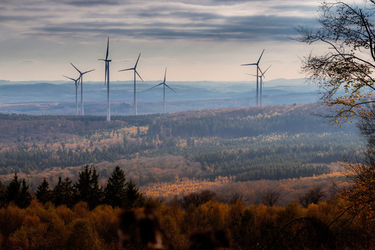 "Binger Wald" Images – Browse 204 Stock Photos, Vectors, and Video ...