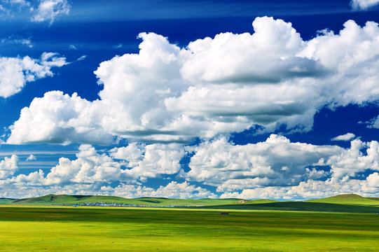 รูปภาพHulunbuir – เลือกดูภาพถ่ายสต็อก เวกเตอร์ และวิดีโอ1,034 | Adobe Stock