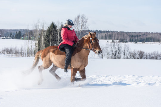 รูปภาพFinnhorse – เลือกดูภาพถ่ายสต็อก เวกเตอร์ และวิดีโอ107 | Adobe Stock