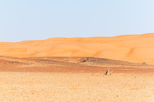 รูปภาพWahabi – เลือกดูภาพถ่ายสต็อก เวกเตอร์ และวิดีโอ337 | Adobe Stock