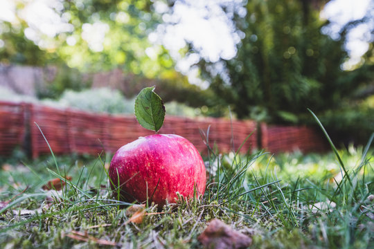Mosten bilder – Bläddra bland 93 stockfoton, vektorer och videor ...