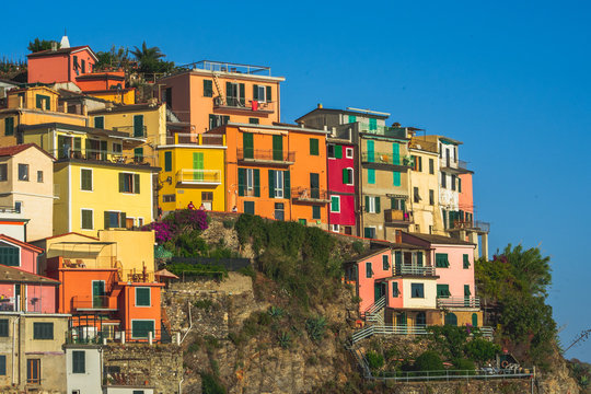 Maranola Images – Browse 128 Stock Photos, Vectors, and Video | Adobe Stock