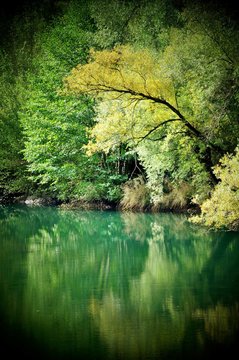 Courber Images – Browse 128 Stock Photos, Vectors, and Video | Adobe Stock