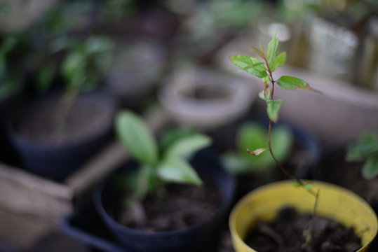 รูปภาพMuda – เลือกดูภาพถ่ายสต็อก เวกเตอร์ และวิดีโอ3,207 | Adobe Stock