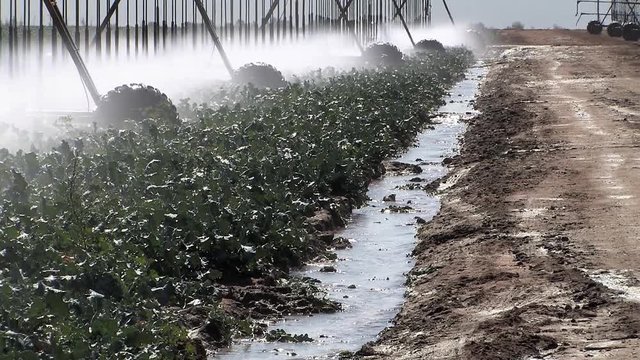 "Center Pivot Irrigation" Images – Browse 1,859 Stock Photos, Vectors ...