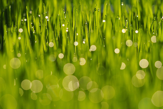 รูปภาพAuttum – เลือกดูภาพถ่ายสต็อก เวกเตอร์ และวิดีโอ151 | Adobe Stock