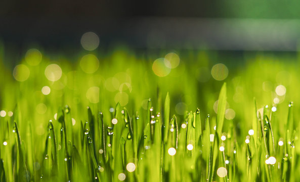 รูปภาพAuttum – เลือกดูภาพถ่ายสต็อก เวกเตอร์ และวิดีโอ151 | Adobe Stock