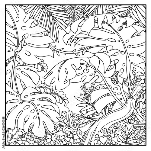 Jungle Vines Coloring Pages