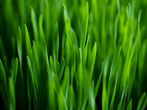 รูปภาพAuttum – เลือกดูภาพถ่ายสต็อก เวกเตอร์ และวิดีโอ151 | Adobe Stock