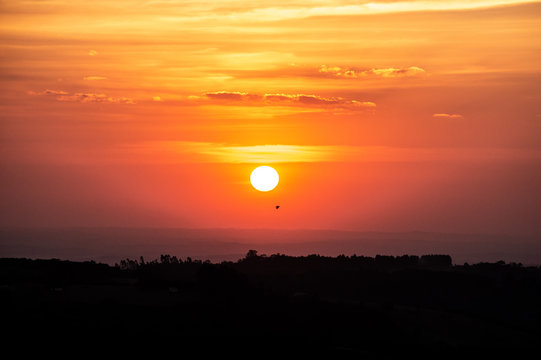 รูปภาพSunste – เลือกดูภาพถ่ายสต็อก เวกเตอร์ และวิดีโอ256 | Adobe Stock