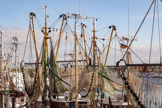 รูปภาพHochseefischen – เลือกดูภาพถ่ายสต็อก เวกเตอร์ และวิดีโอ196 ...