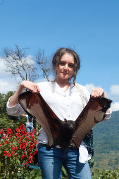 รูปภาพPteropus – เลือกดูภาพถ่ายสต็อก เวกเตอร์ และวิดีโอ3,027 | Adobe Stock