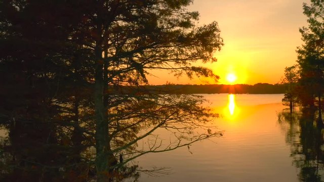 รูปภาพStumpy – เลือกดูภาพถ่ายสต็อก เวกเตอร์ และวิดีโอ562 | Adobe Stock