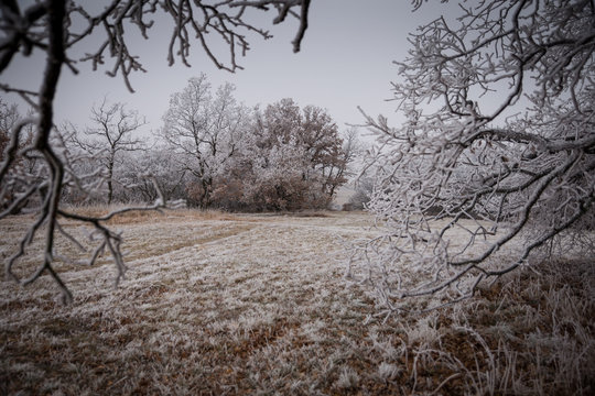 Lupka Bilder – Durchsuchen 233 Archivfotos, Vektorgrafiken und Videos ...
