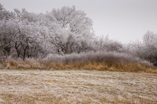 Lupka Bilder – Durchsuchen 233 Archivfotos, Vektorgrafiken und Videos ...