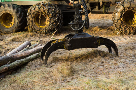 รูปภาพGrapples – เลือกดูภาพถ่ายสต็อก เวกเตอร์ และวิดีโอ82,522 | Adobe Stock