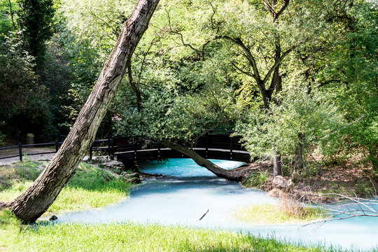 Lavino Bilder – Durchsuchen 146 Archivfotos, Vektorgrafiken und Videos ...