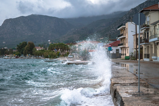 Agria-Bilder: Stock-Fotos & -Videos. | Adobe Stock