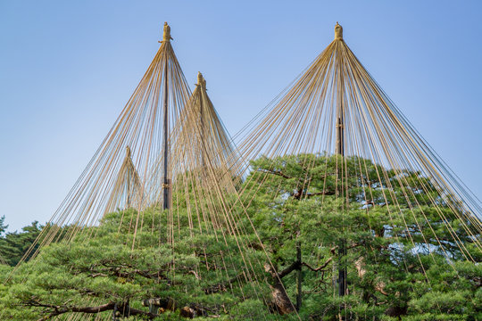 Yukitsuri Images – Browse 1,115 Stock Photos, Vectors, and Video ...