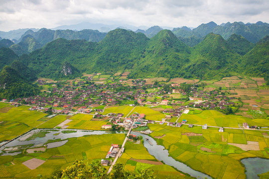 Luke Truong photos, images, assets | Adobe Stock