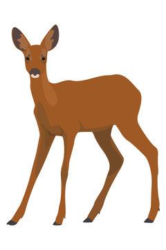 Reh Vektor Images – Browse 62 Stock Photos, Vectors, and Video | Adobe ...