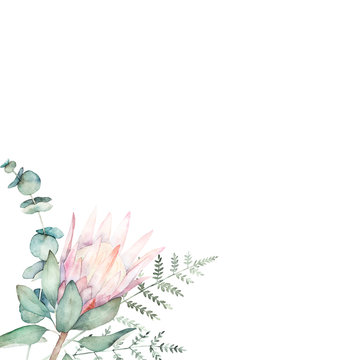 1,104 BEST Protea Border IMAGES, STOCK PHOTOS & VECTORS | Adobe Stock