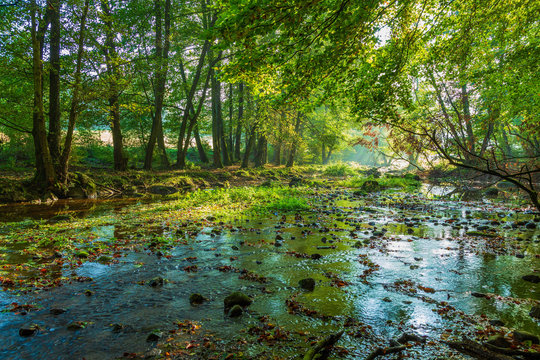 Imágenes de Vattendrag: descubre bancos de fotos, ilustraciones ...