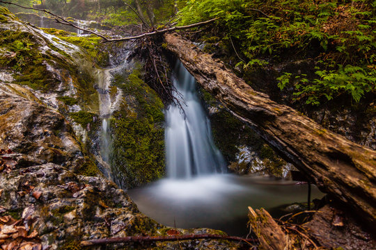 Oczko Bilder – Durchsuchen 358 Archivfotos, Vektorgrafiken und Videos ...