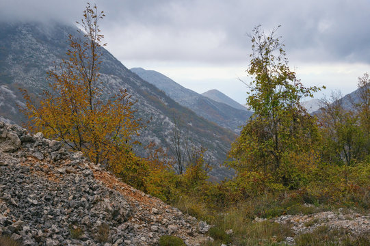 Imagens de Sitnica – Explore Fotografias do Stock, Vetores e Vídeos de ...