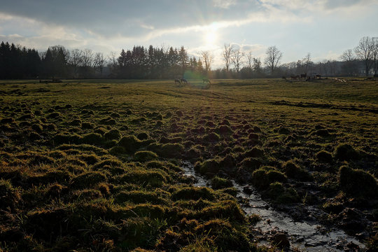 500Px Bilder – Durchsuchen 1,132 Archivfotos, Vektorgrafiken und Videos ...