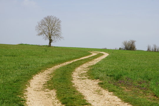 Imágenes de Sinueux: descubre bancos de fotos, ilustraciones, vectores ...