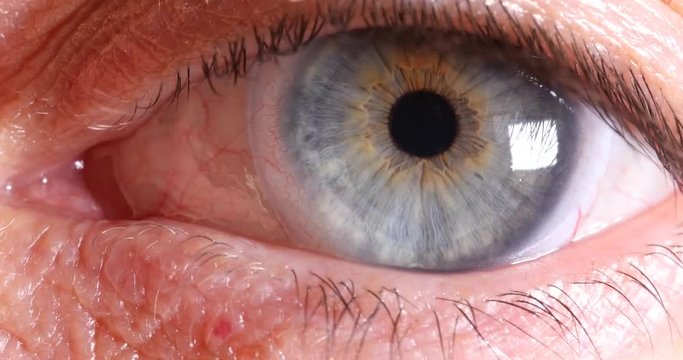 "Contact Lens" Images – Browse 186,402 Stock Photos, Vectors, and Video ...