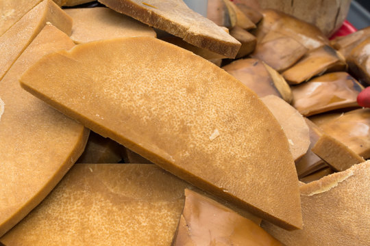 Quiote Images – Browse 62 Stock Photos, Vectors, and Video | Adobe Stock