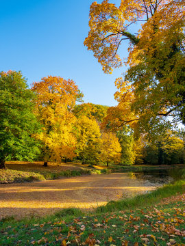 Melankolisch Bilder – Durchsuchen 93 Archivfotos, Vektorgrafiken und ...