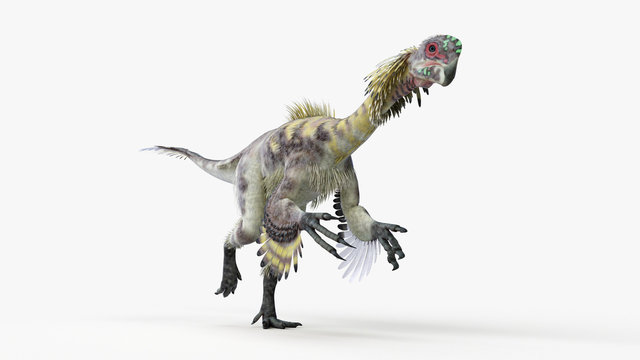 Citipati Dinosaur