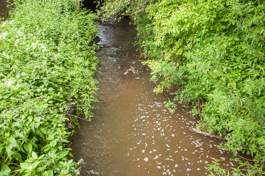 "Summer Stream" Images – Browse 28 Stock Photos, Vectors, and Video ...