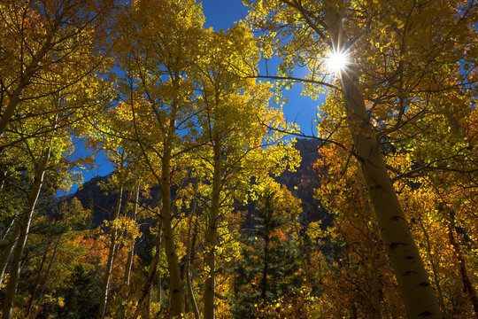 Fall-Colors Images – Browse 33 Stock Photos, Vectors, and Video | Adobe ...