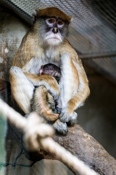 Charvy-foto photos, images, assets | Adobe Stock